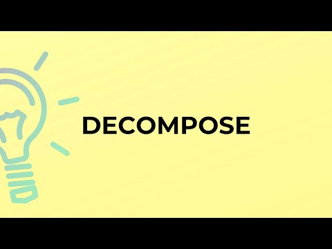 What is the meaning of the word DECOMPOSE?