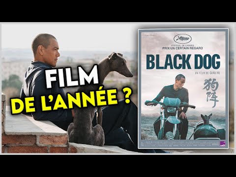 BLACK DOG : Un film qui a du chien ? - Guim Focus