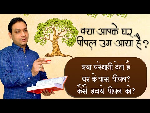 Importance of Peepal Tree Near Home in Lal Kitab
