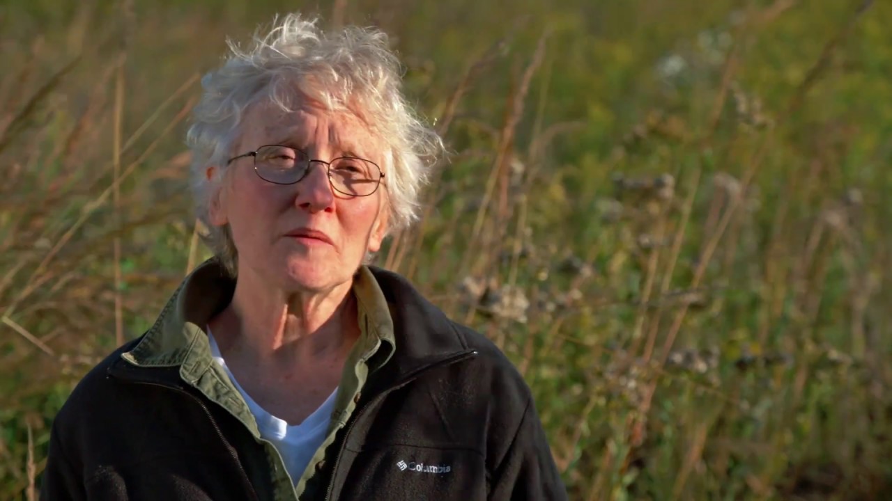 Craft in America Craft in America - Mary Merkel-Hess