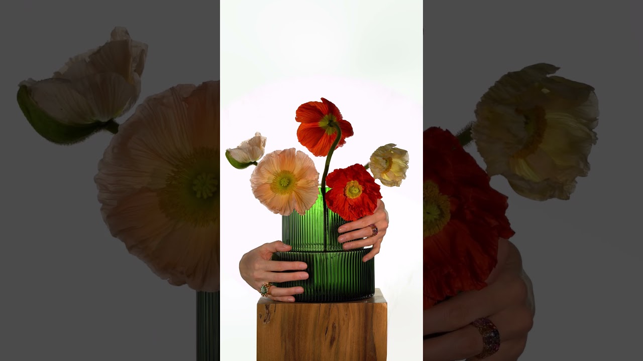 Schullin x Veronika Raoul