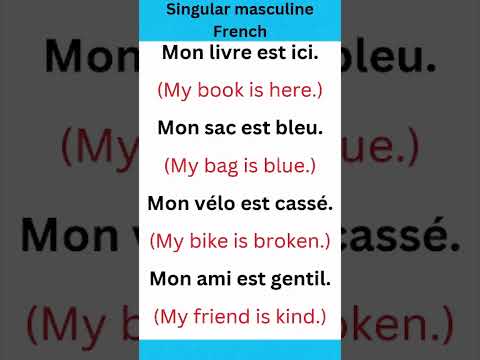 Learn 4 Simple Sentences Starting with 'My' in French| Easy French learning with SAANVI #delf #dalf
