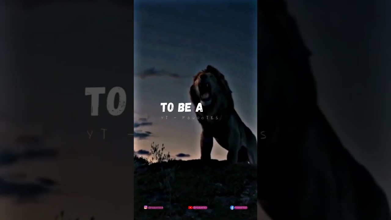 A king needs a kingdom not a queen👑🔥 #motivation #quotes #attitude_motive #shorts