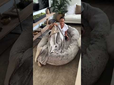 Gadgets you may need - Human-sized dog bed