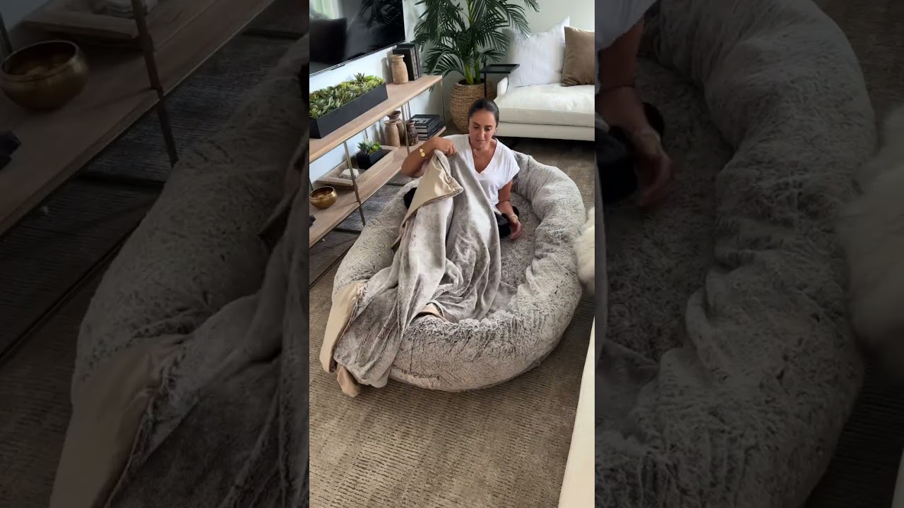 Gadgets you may need - Human-sized dog bed