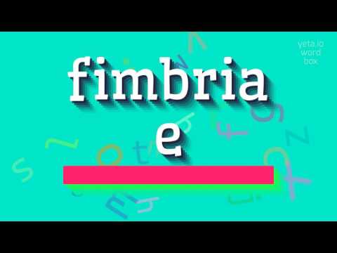 How to say "fimbriae"! (High Quality Voices)