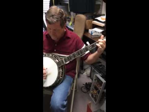 Stelling Master's Cross 5 String Used Banjo w/ case | Reverb