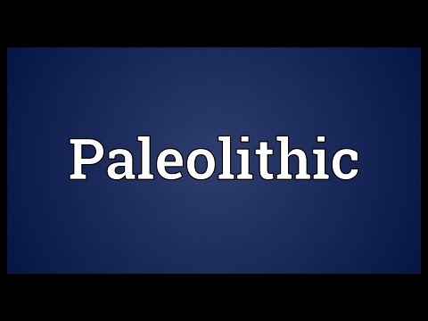 Paleolithic Meaning