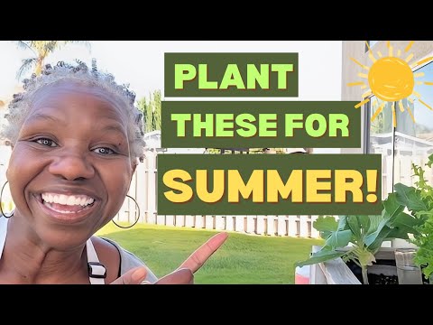 Top 10 Things to Grow for SUMMER!