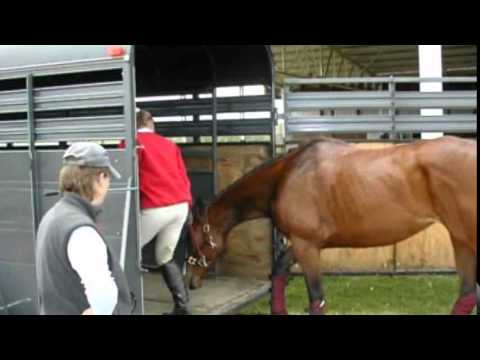 New study to explore horse transportation