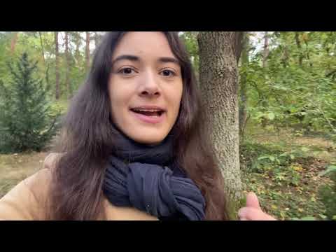 Video: Carolin Matthie: Will Söder einen Lockdown im Berchtesgadener ...