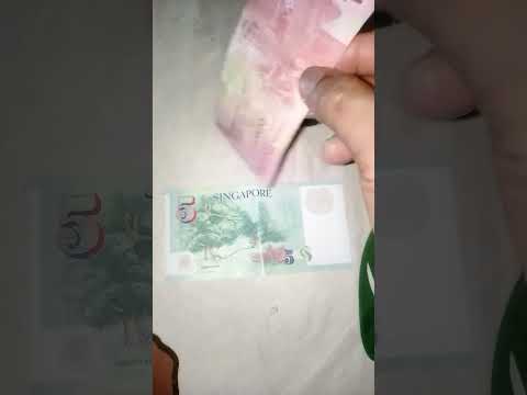 Indonesia Rupiah (IDR) ๐ฎ๐ฉ VS Dollar Singapore ๐ธ๐ฌ #shortsvideo #money #fypviralใท #velocity