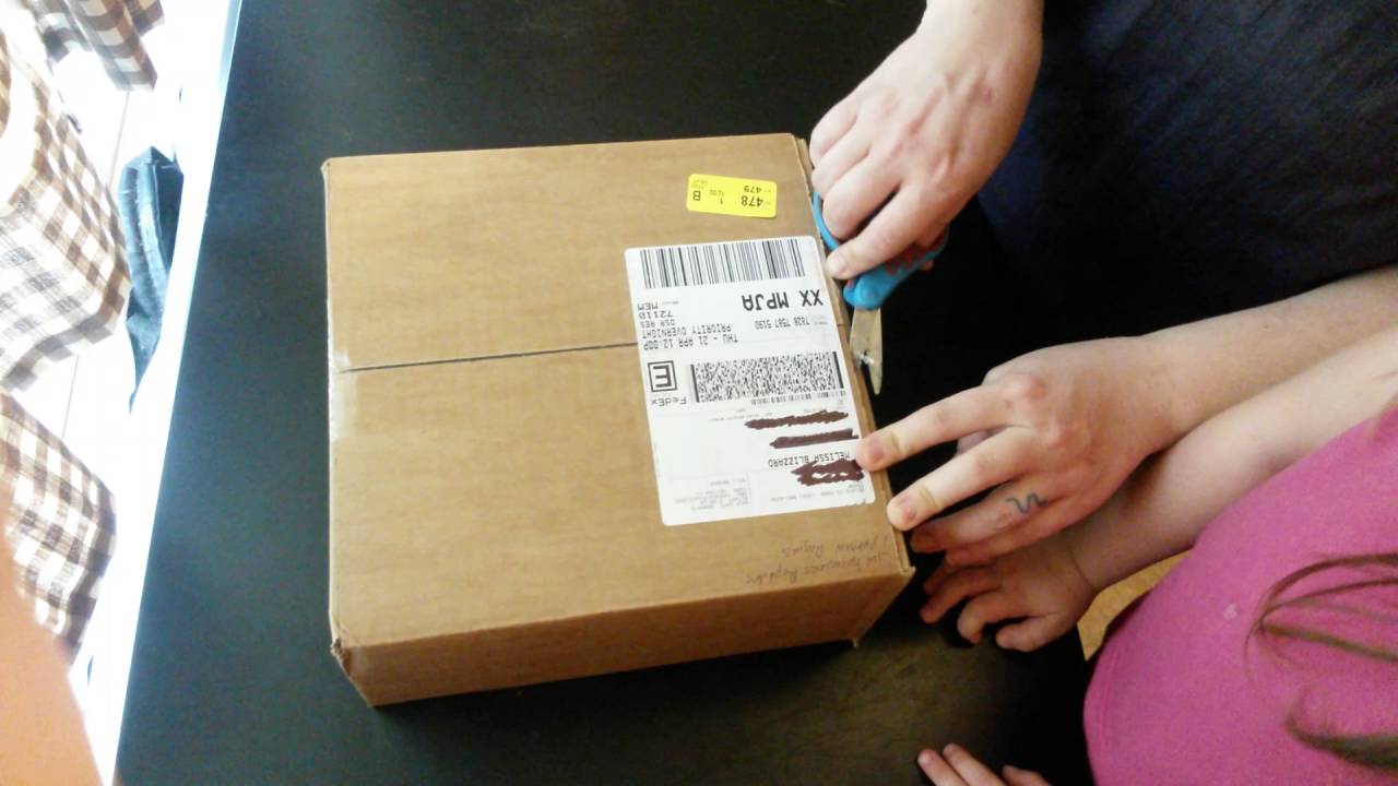Unboxing ball python from cold blooded novelties.