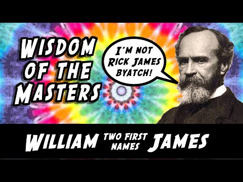 William James says the worst lie is a truth that is misunderstood.