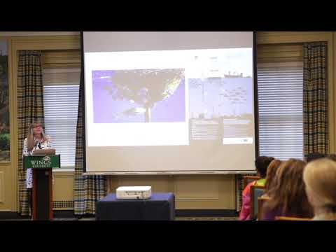 Eleanor Sterling at the 2018 WINGS WorldQuest Fellows Forum