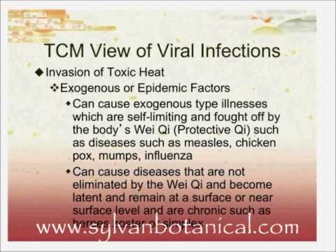 Hepatitis C Professional Training Course Series I Class 2