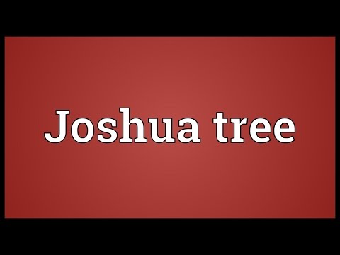 Joshua tree Meaning