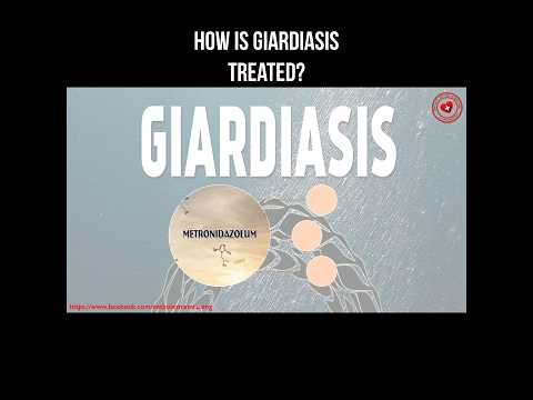 How is giardiasis treated? #giardia #giardiasis #parasite #helminth