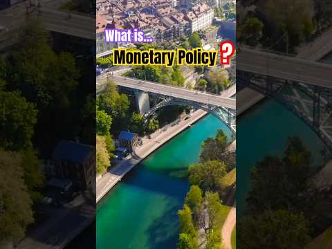 📄💰What is Monetary Policy? #monetarypolicy #monetary #policy #whatdoesitmean #economics #finance