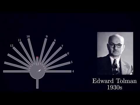 Edward Tolman and the Maze: Unveiling Cognitive Maps