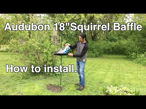 Audubon 18" Squirrel Baffle. How to install.