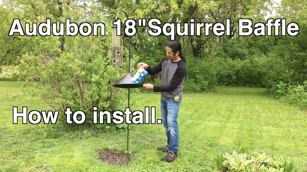 Audubon 18
