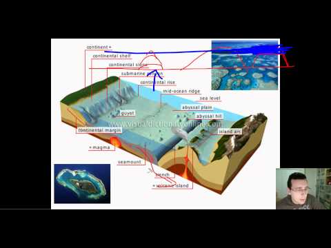 Ocean Basins (Part 2): Features of the Ocean Floor (Deep Ocean Basins)