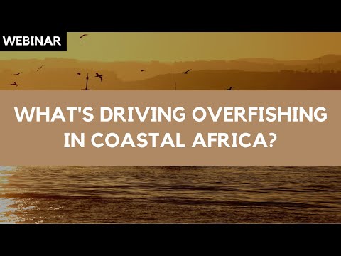 Webinar: Is it the end of the line for fisheries subsidies?