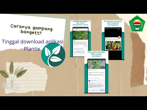 KKN | Cara Mendeteksi Info Kesehatan Tanaman menggunakan Aplikasi Plantix