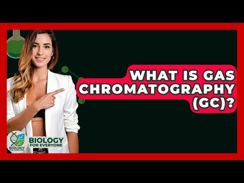 What Is Gas Chromatography (GC)? - Biology For Everyone