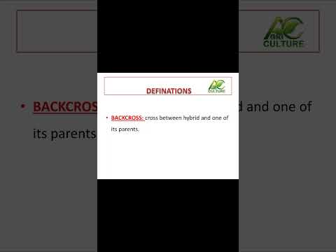 Defination/Define/Definations