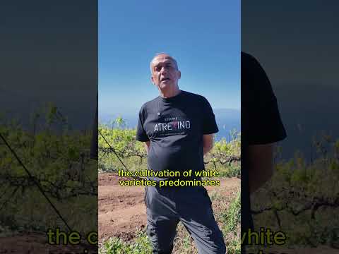 Atrevino Wineries