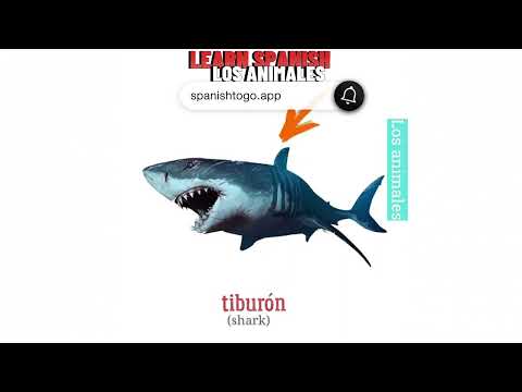 HOW TO SAY ANIMALS IN SPANISH