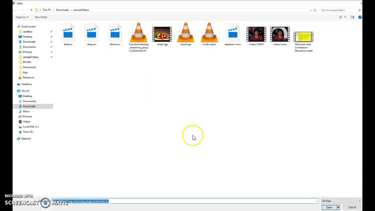 preview using video js