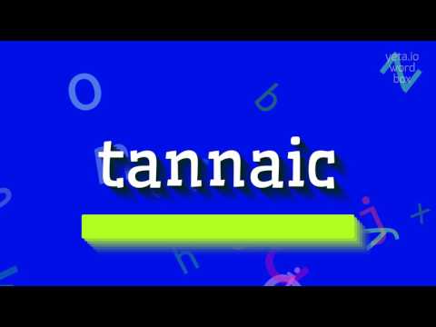 TANNAIC - HOW TO SAY TANNAIC? #tannaic