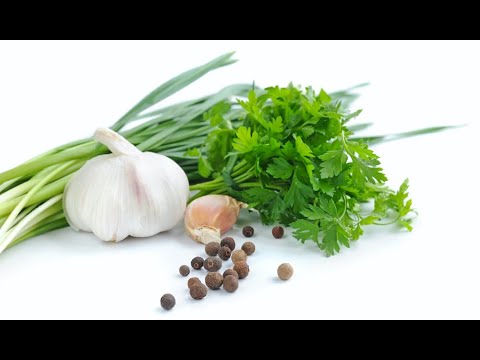 The Basics of Italian Cuisine