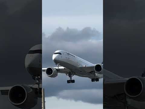 Lufthansa Airbus A350-900 Landing at Toronto Pearson Int'l Airport | CYYZ/YYZ #shorts #shortsvideo
