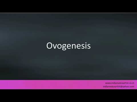 Pronunciation of the word(s) "Ovogenesis".