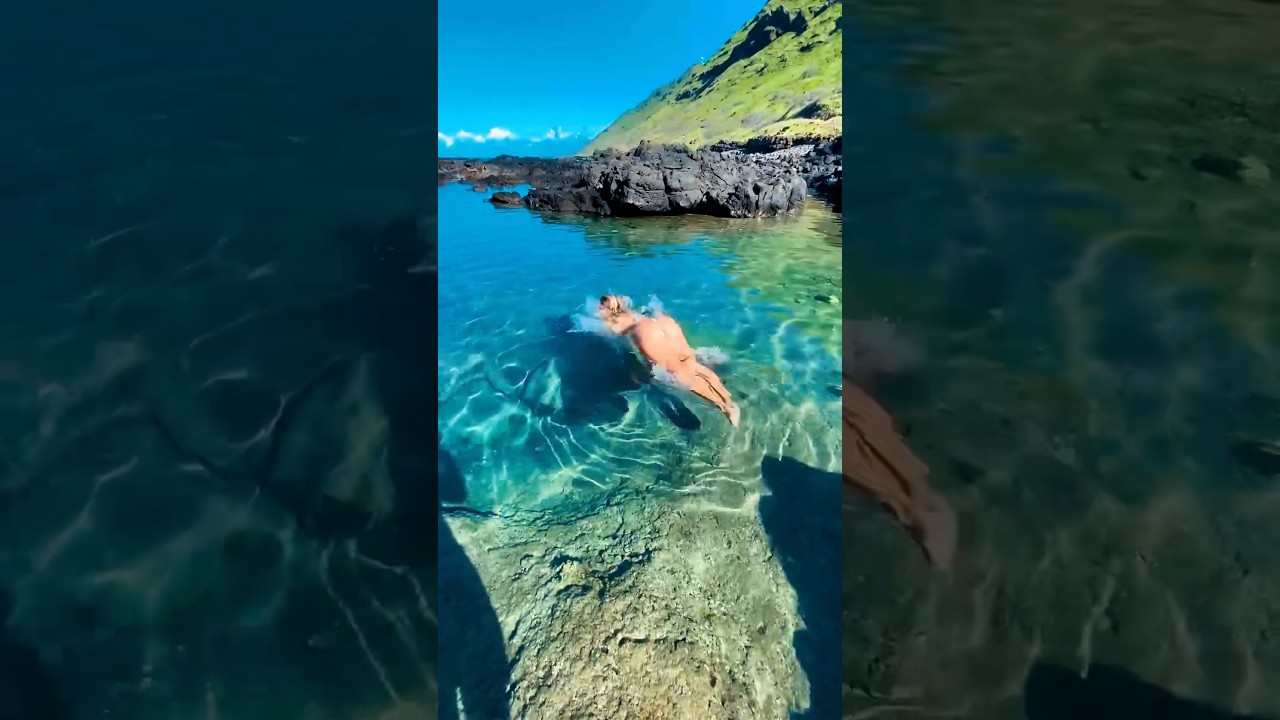 Hawaii tide pool guide #shorts