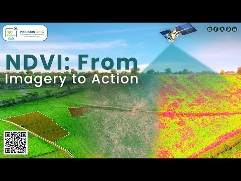 !! The Power of NDVI: Actionable Insights from Imagery !!
