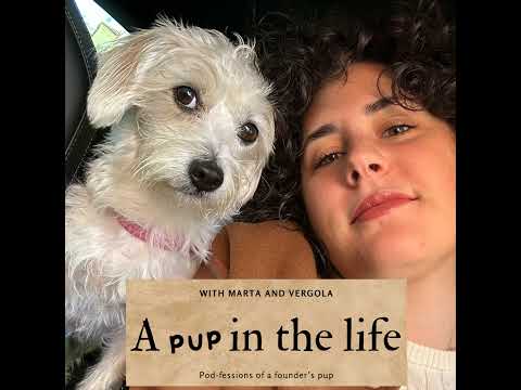 Sorry: There’s no shortcut to be sold - A Pup In The Life ep. 115