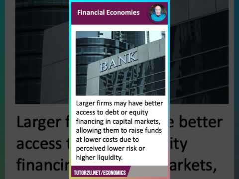Financial Economies of Scale | 60 Second Economics | A-Level & IB