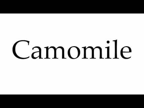 How to Pronounce Camomile