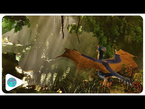 Where To Find Yi Ling \\ ASA Aberration