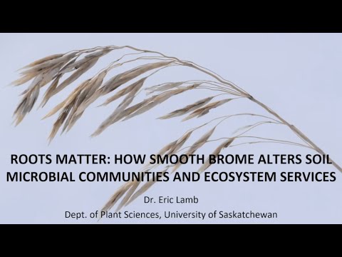 Roots Matter: How Smooth Brome Alters Structure of Soil Microbial Communities and Ecosystem Services