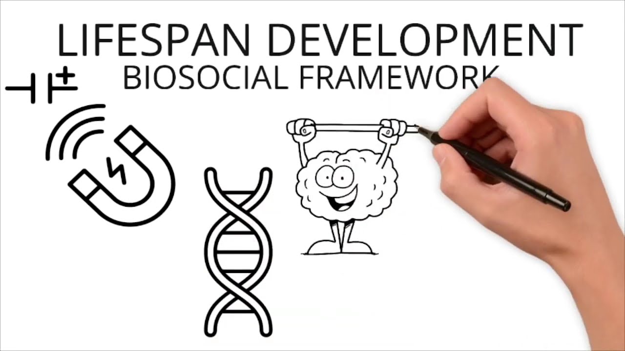 What is lifespan development?