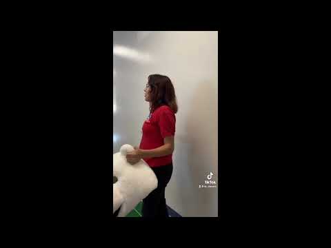 Compass Rose Legacy Secondary EOY Video