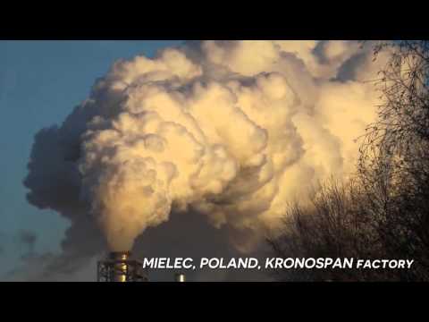 Kronospan factory in Mielec, Poland