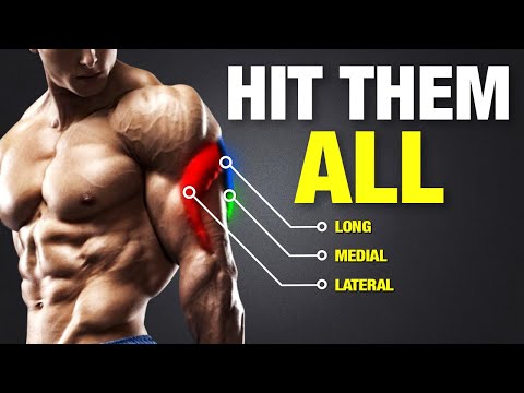 The ONLY 3 Triceps Exercises You Need for Mass (Dumbbell-Only)