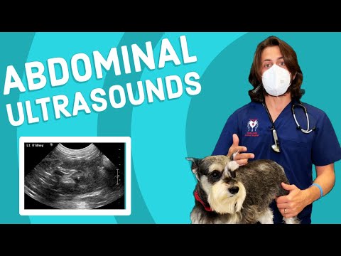 Abdominal Ultrasounds